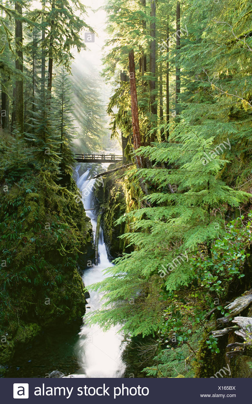 Sol Duc Stock Photos & Sol Duc Stock Images - Alamy