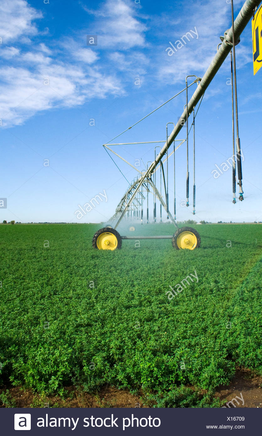 Irrigation Agricultural Water Irrigation High Resolution Stock ...