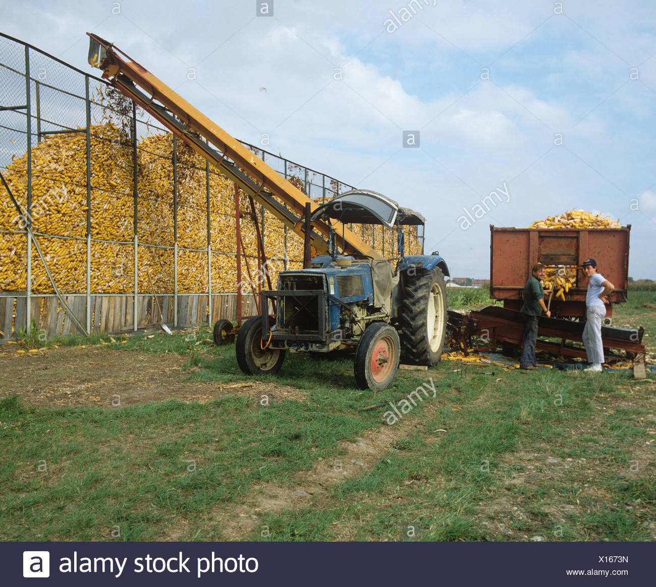 Maize Store Stock Photos & Maize Store Stock Images - Alamy