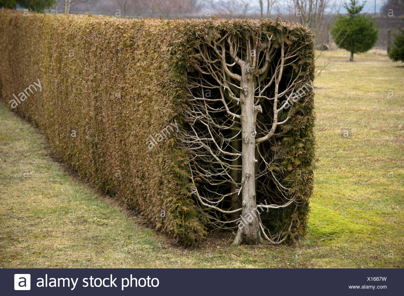 Rectangular Cross Section High Resolution Stock Photography and Images ...