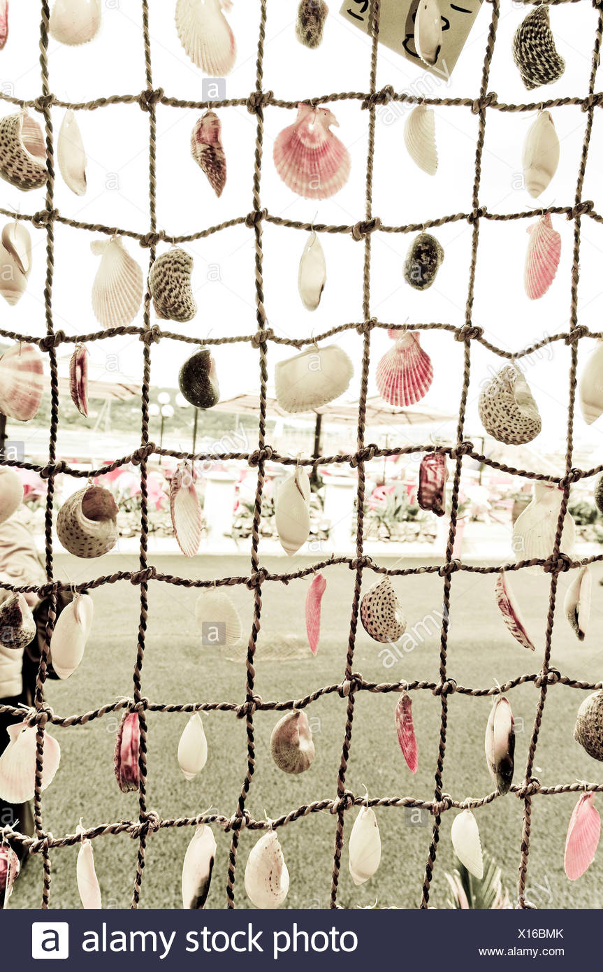 Hanging Shells High Resolution Stock Photography and Images - Alamy