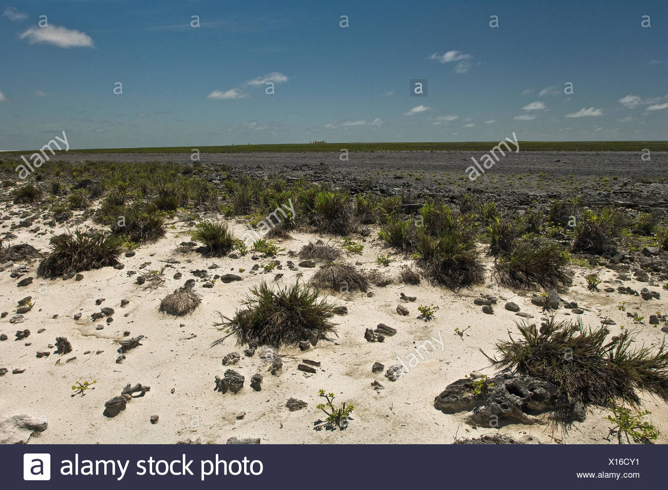 Kiribati Island Stock Photos & Kiribati Island Stock Images - Alamy