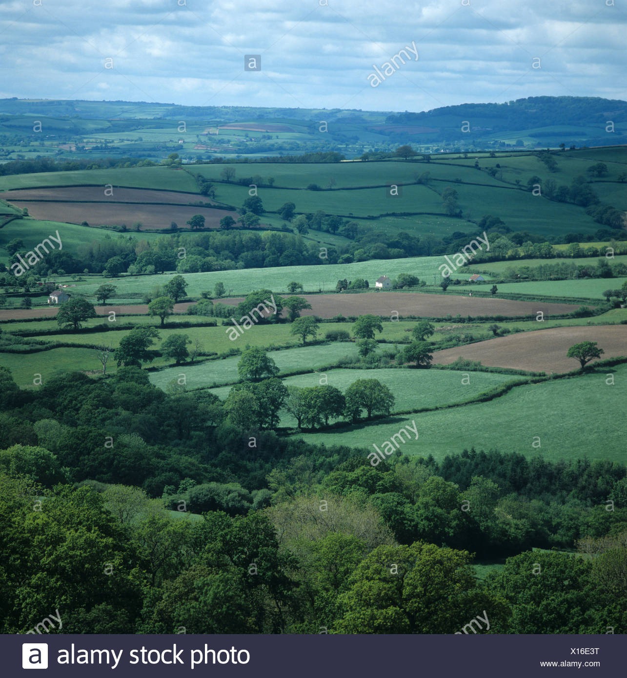 Devon Crops High Resolution Stock Photography and Images - Alamy