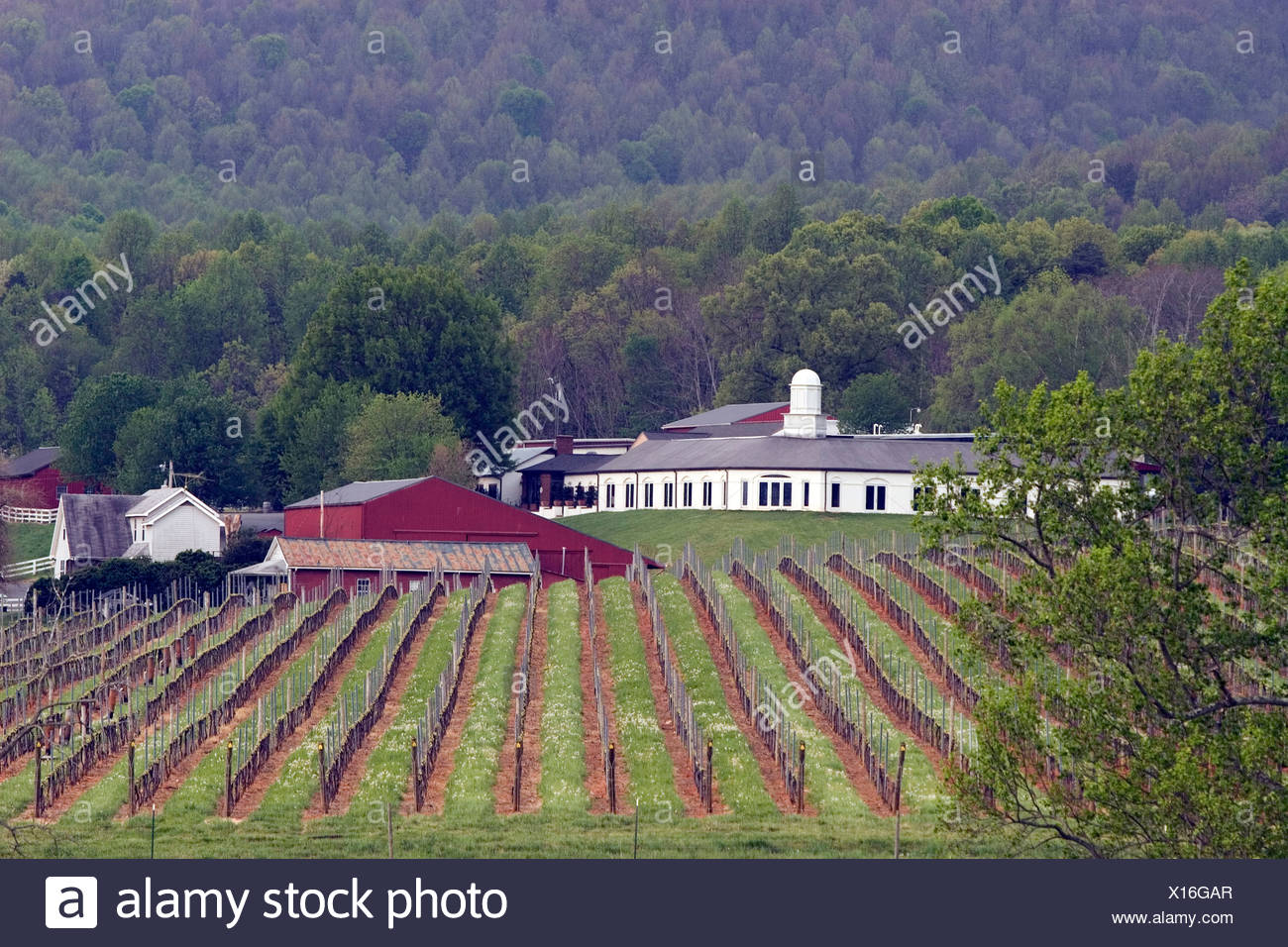 Barboursville Virginia High Resolution Stock Photography and Images - Alamy