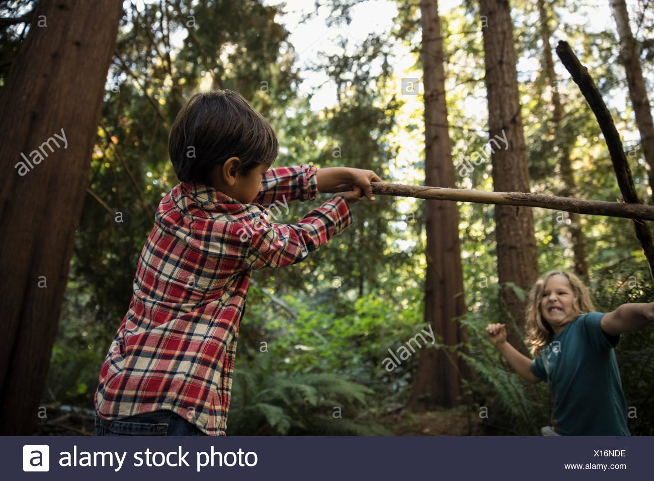 Girls And Boys And Fighting Stock Photos & Girls And Boys And Fighting ...