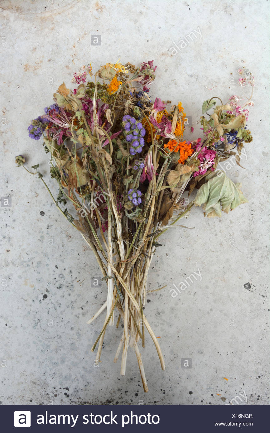 Bunch Of Withered Flowers High Resolution Stock Photography and Images ...
