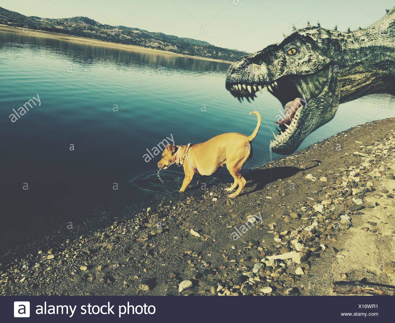 Dinosaur Image High Resolution Stock Photography and Images - Alamy