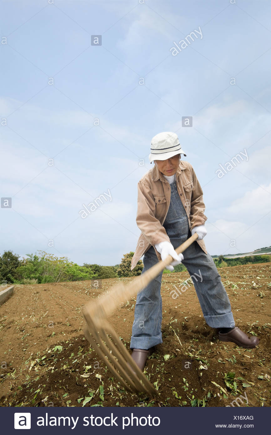 Man Plowing Field High Resolution Stock Photography and Images - Alamy