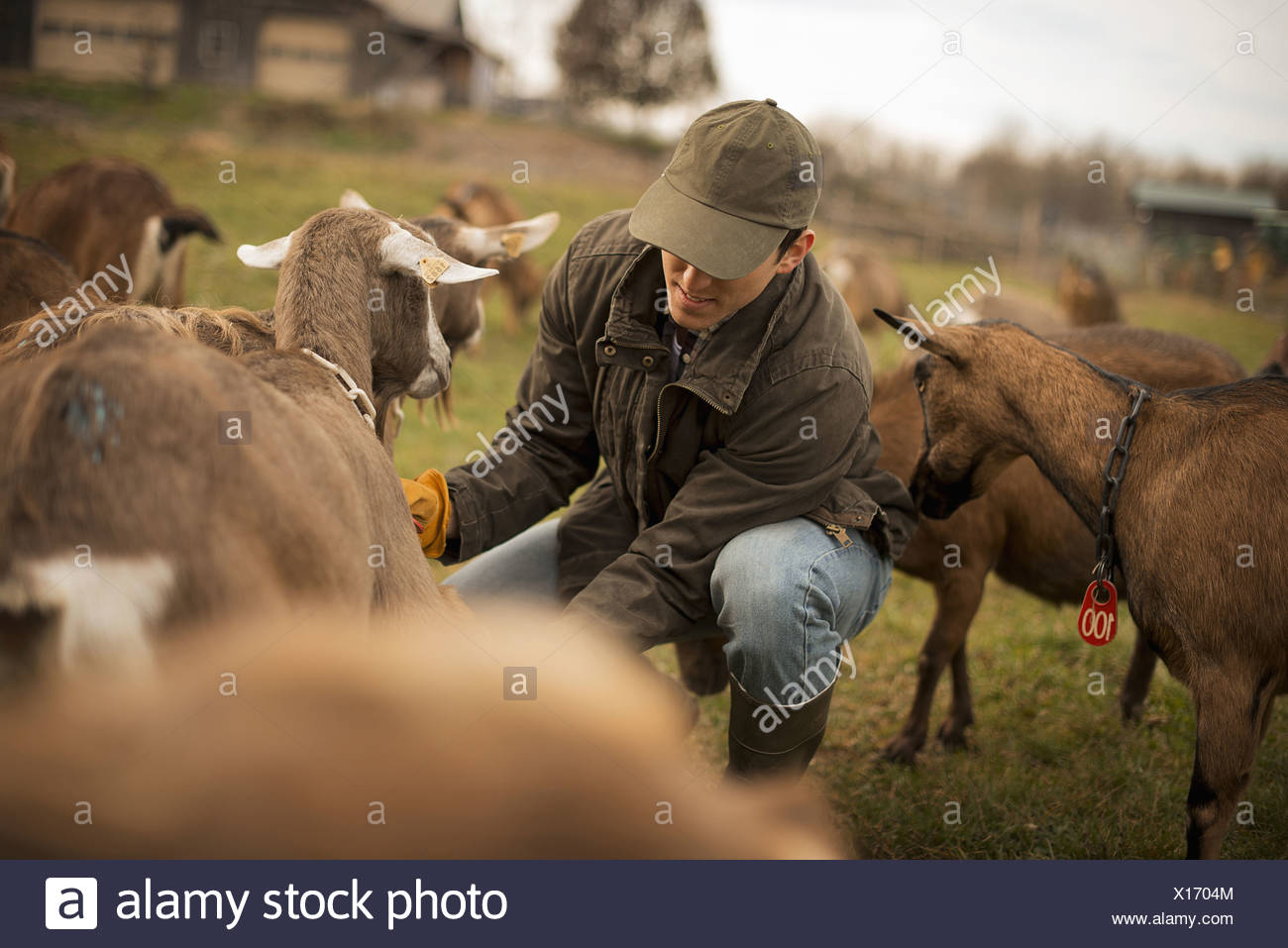 Even Working High Resolution Stock Photography and Images - Alamy