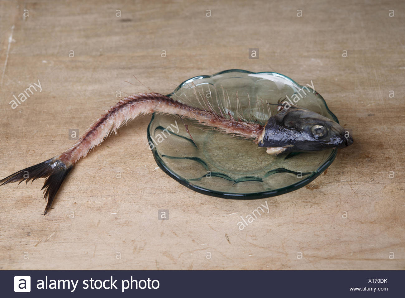 Fischknochen High Resolution Stock Photography and Images - Alamy
