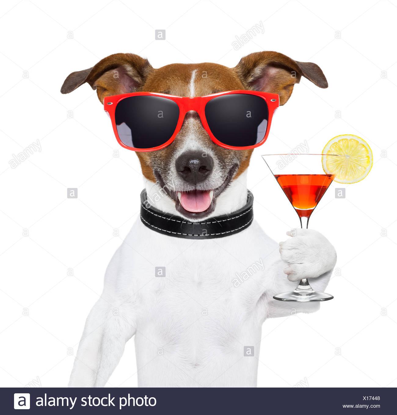 Funny Cocktail High Resolution Stock Photography and Images - Alamy