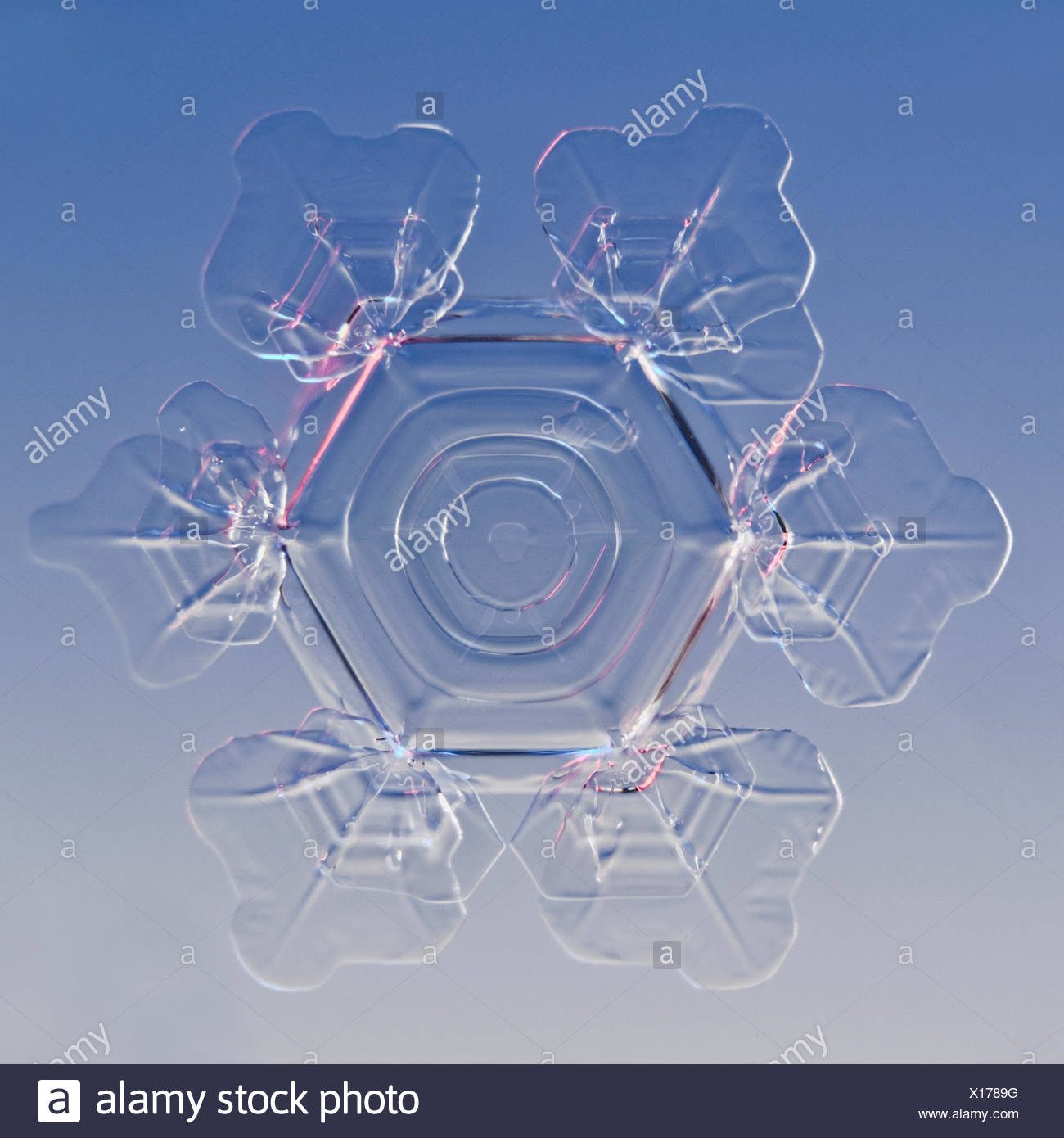 Snowflake Microscope Stock Photos & Snowflake Microscope Stock Images ...