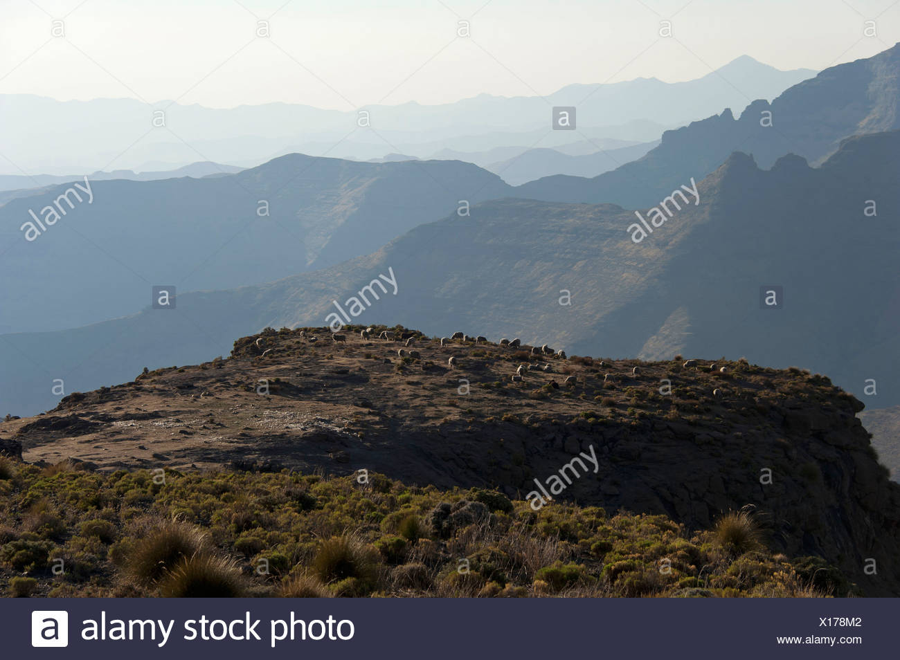 Maloti Stock Photos & Maloti Stock Images - Alamy