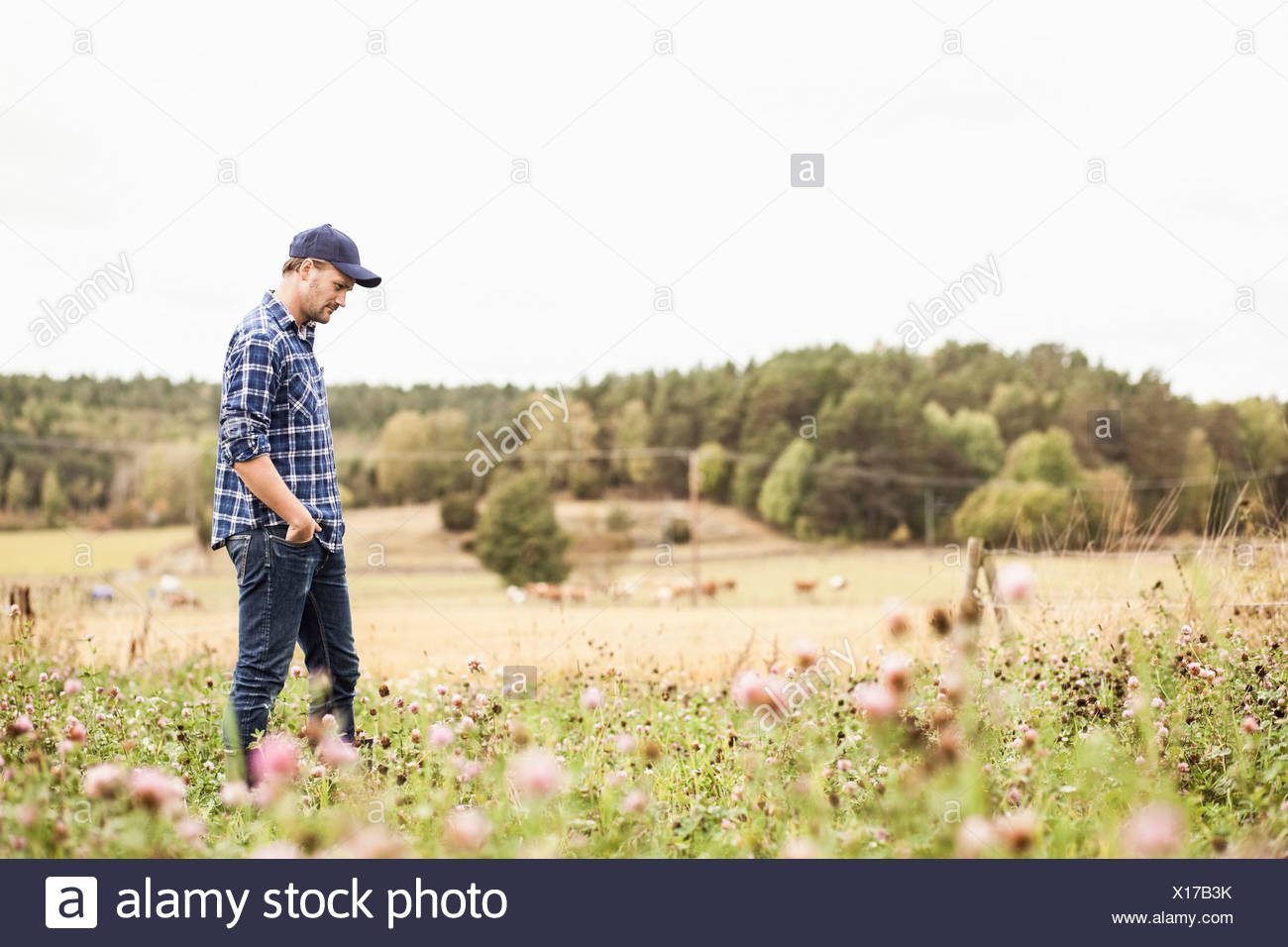 Farmer Walking Away High Resolution Stock Photography and Images - Alamy