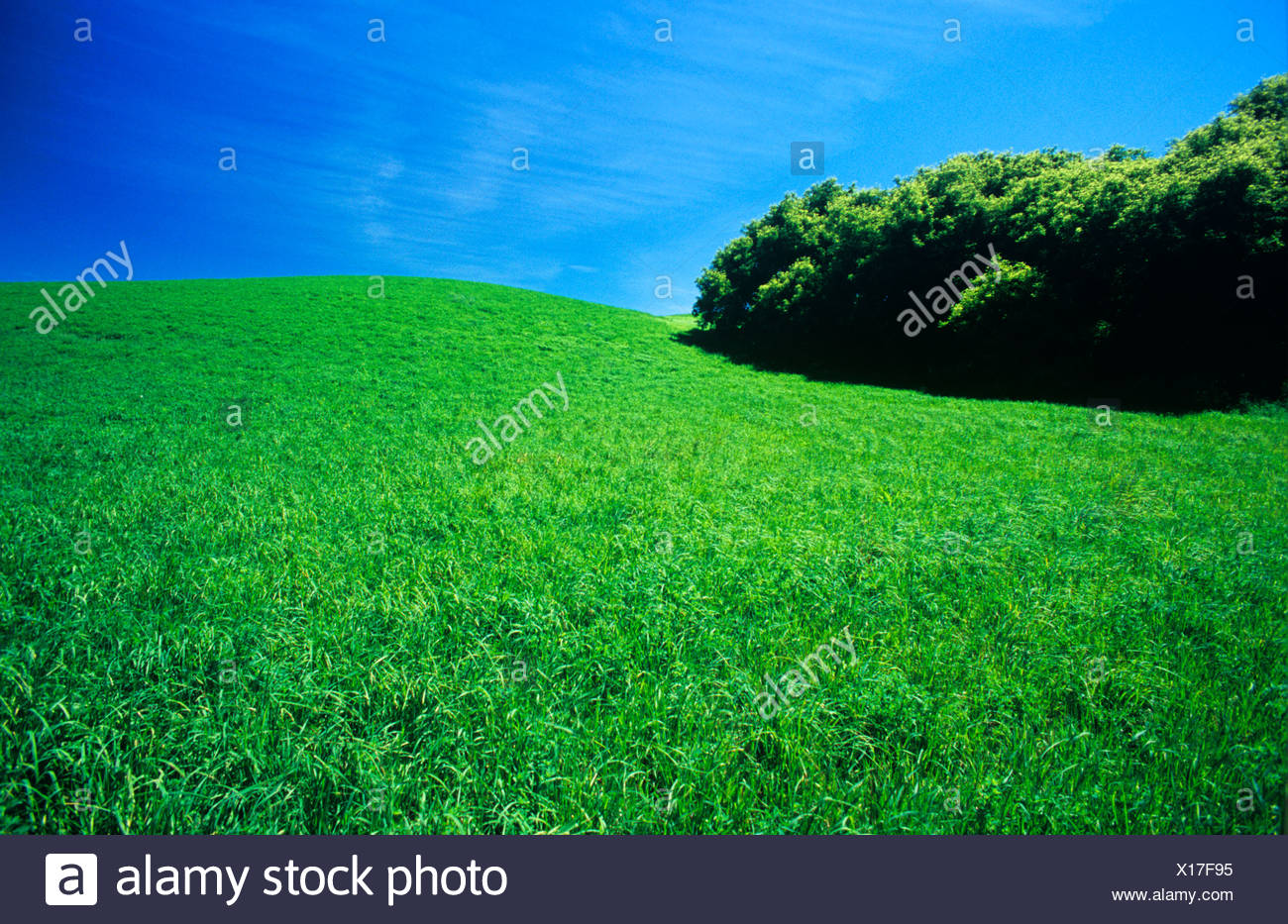 Hay And High Resolution Stock Photography and Images - Alamy