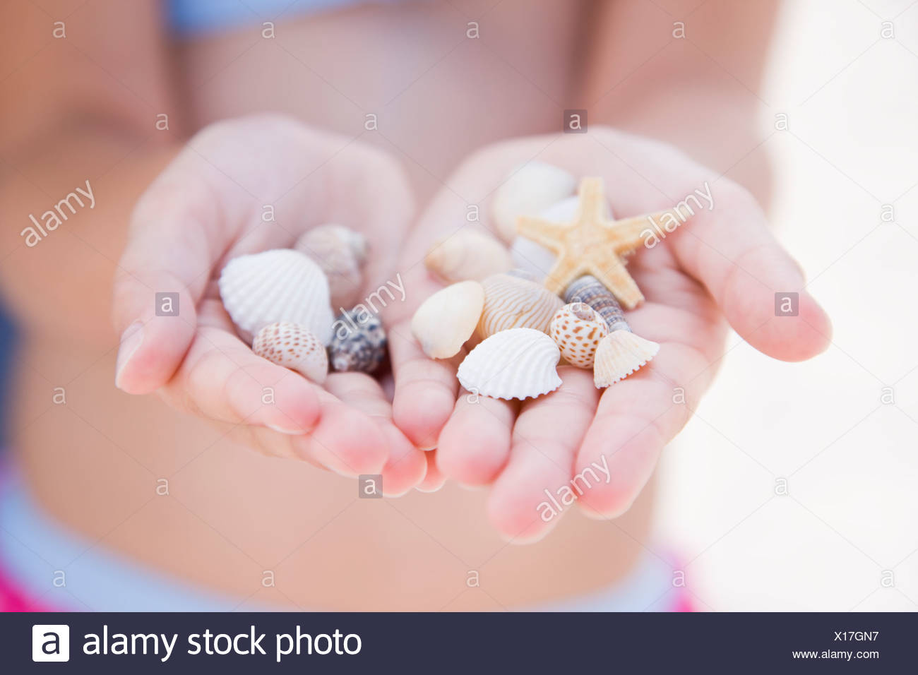 Souvenir Shells High Resolution Stock Photography and Images - Alamy