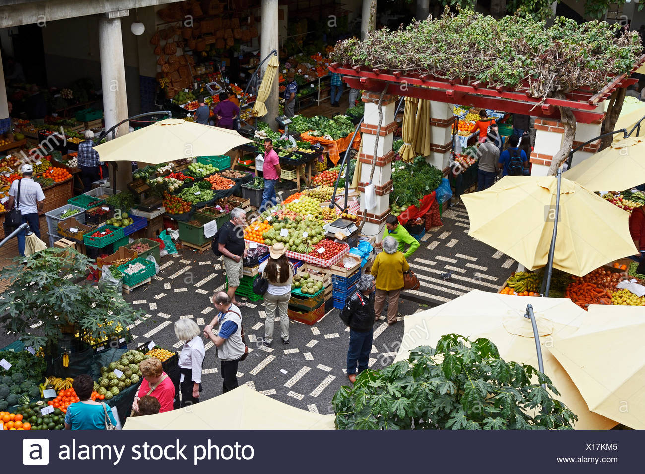 Madeira Funchal In Market Hall High Resolution Stock Photography and ...
