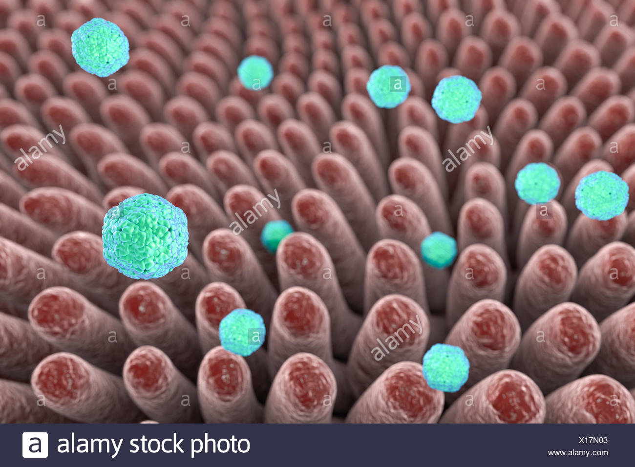 Virus Like Particle Stock Photos & Virus Like Particle Stock Images - Alamy