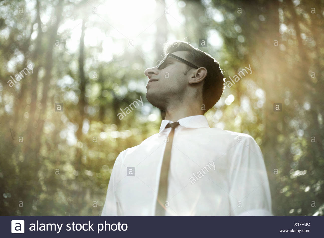 Man Worms Eye View Stock Photos & Man Worms Eye View Stock Images - Alamy