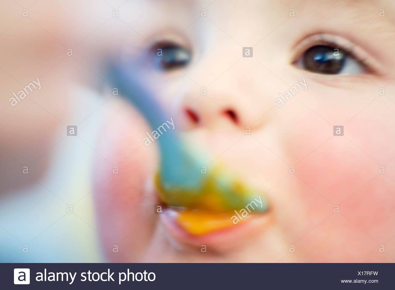 Being Spoon Fed High Resolution Stock Photography and Images - Alamy