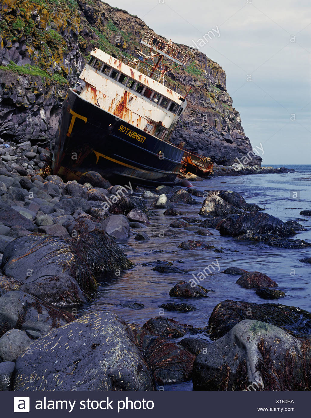 Terminator High Resolution Stock Photography and Images - Alamy