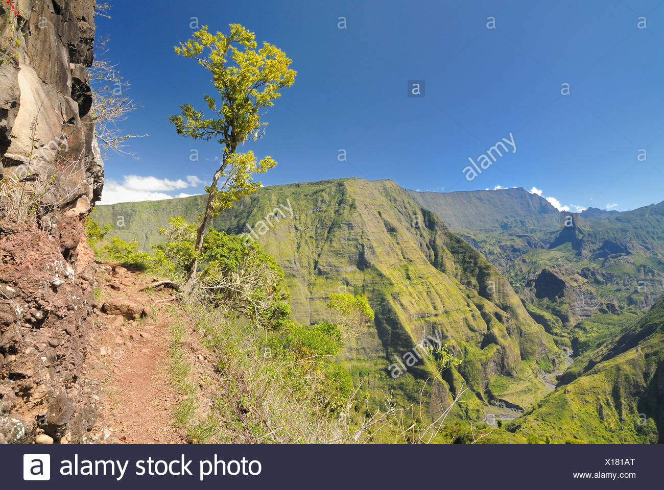 Vegetation France Stock Photos & Vegetation France Stock Images - Alamy