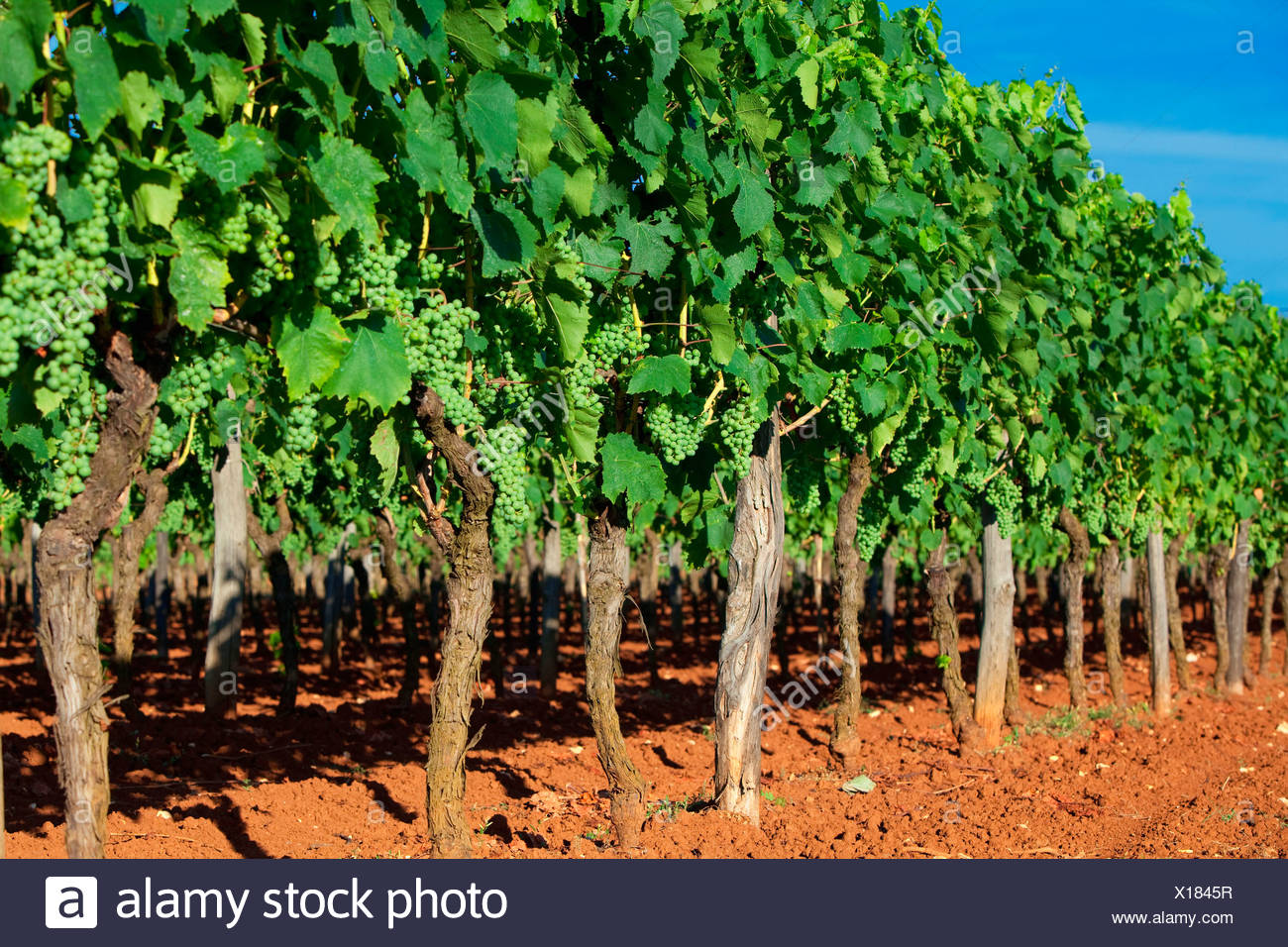 Countryside Croatia High Resolution Stock Photography and Images - Alamy