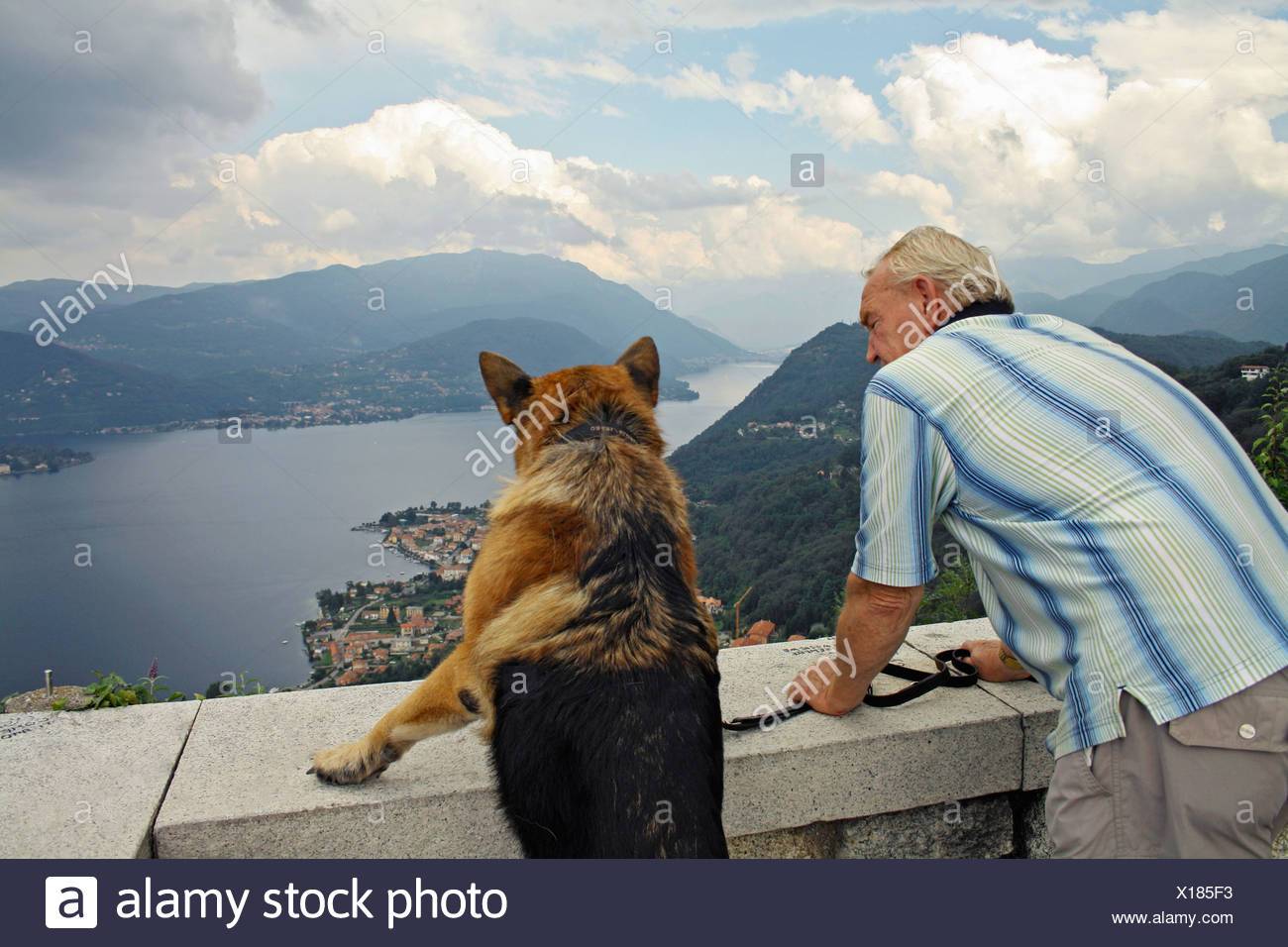 Man German Shepherd High Resolution Stock Photography and Images - Alamy