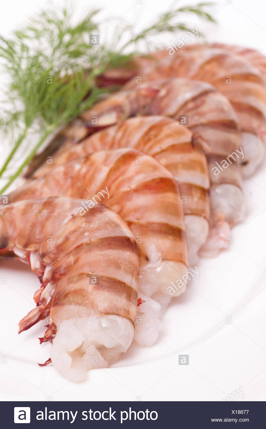 Atlantic Prawns High Resolution Stock Photography and Images - Alamy