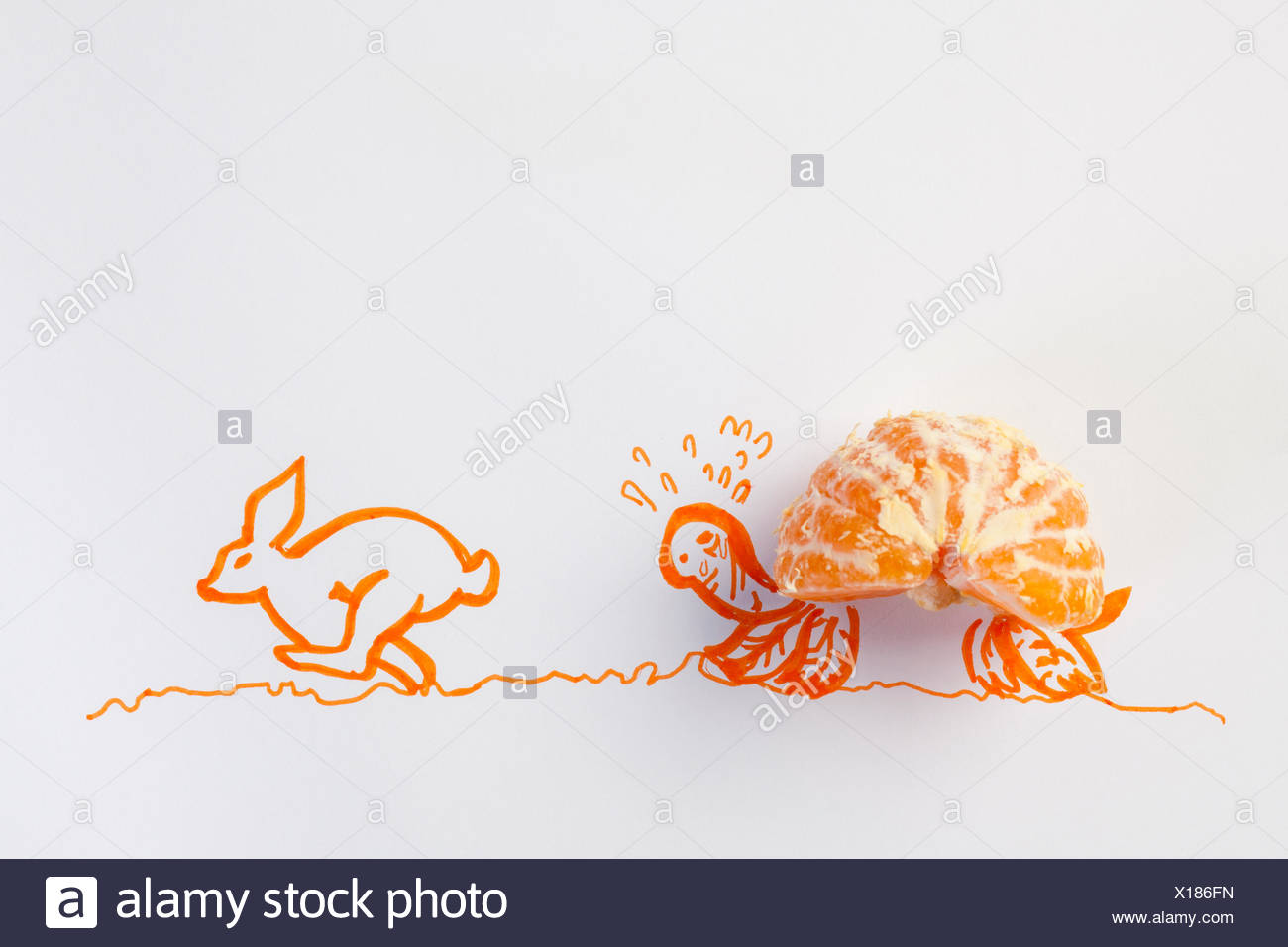 Rabbit And Turtle Race High Resolution Stock Photography and Images - Alamy