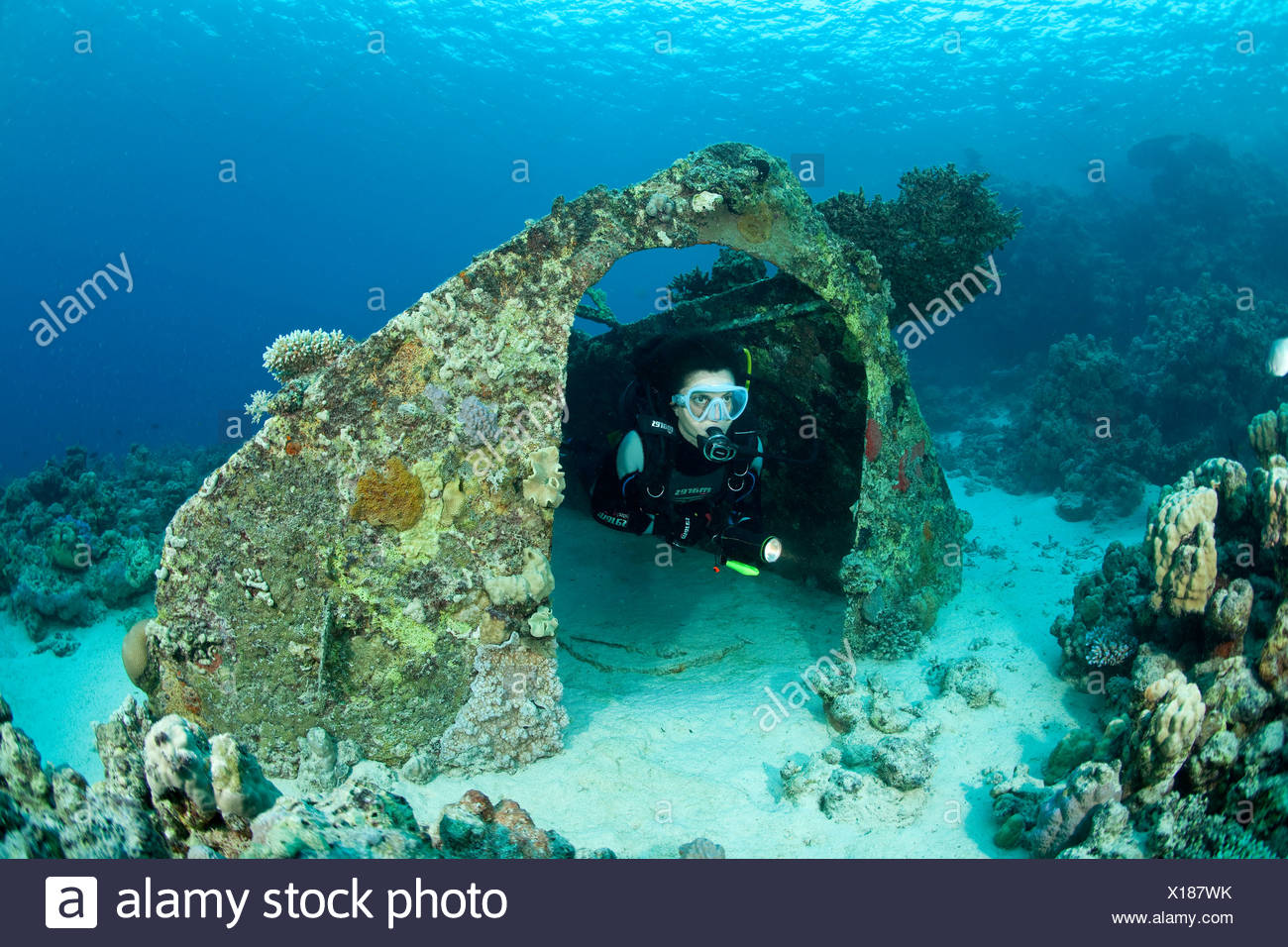 Jacques Cousteau Conshelf High Resolution Stock Photography and Images ...