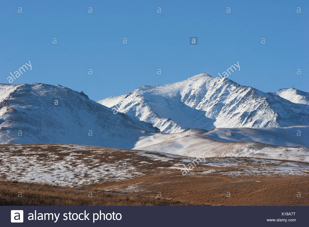 Shibar High Resolution Stock Photography and Images - Alamy