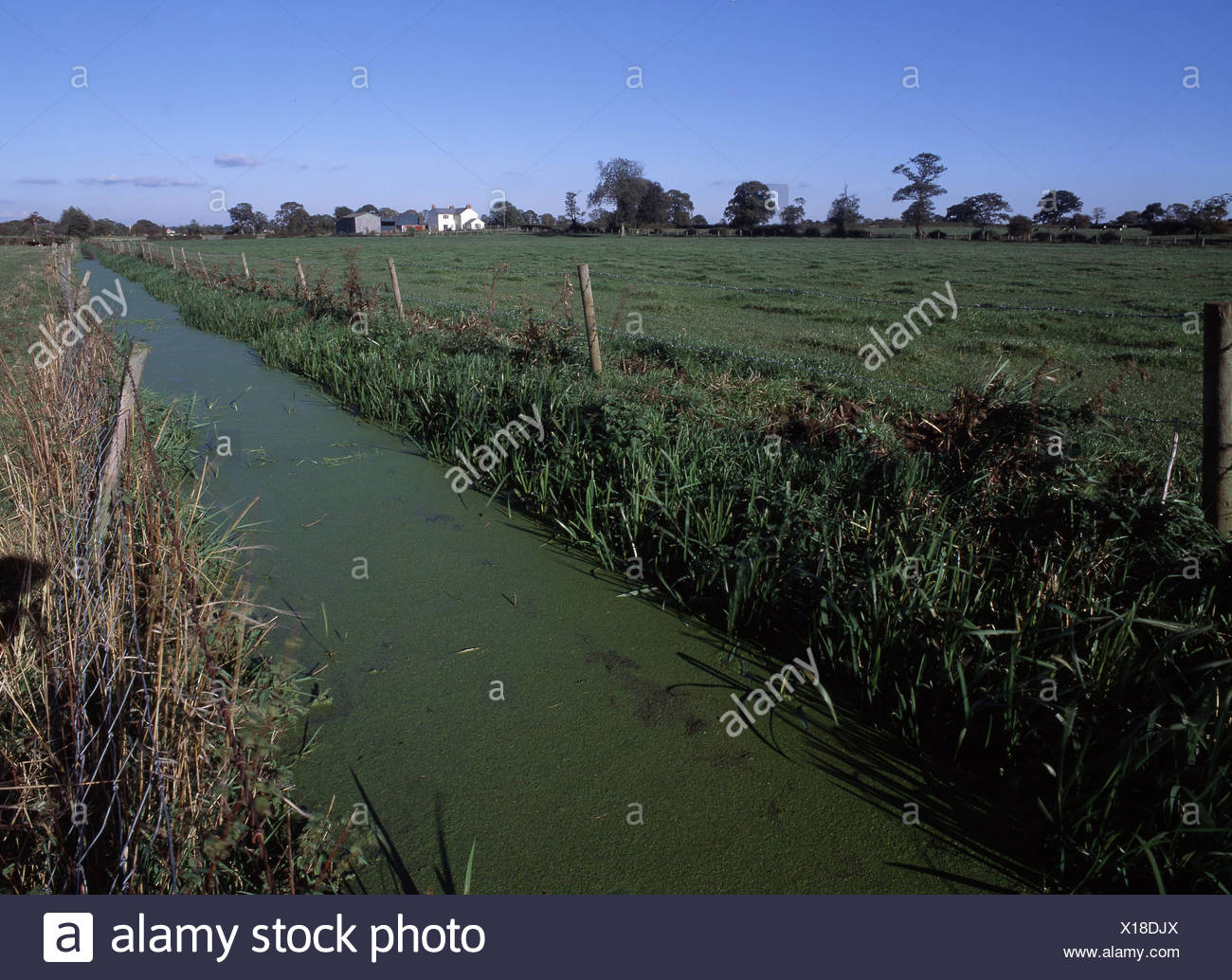 Agricultural Pollution Stock Photos & Agricultural Pollution Stock ...