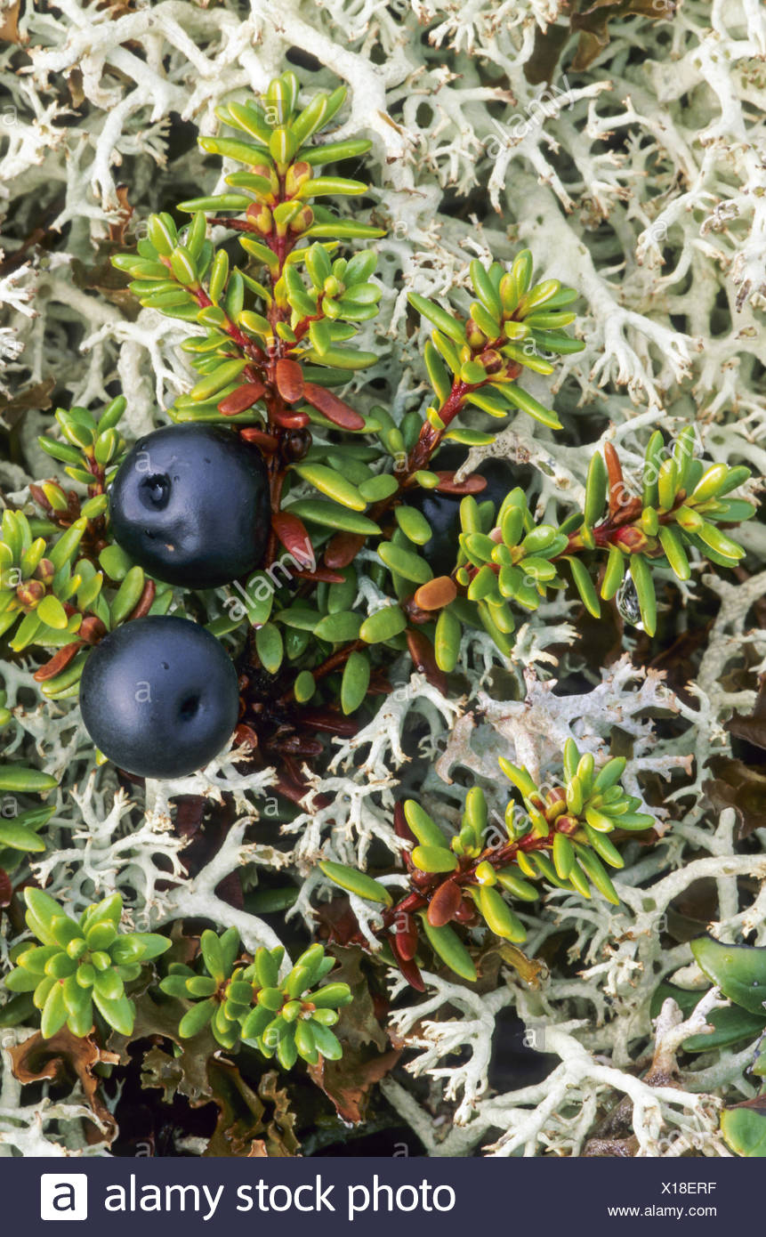 Kopparberg High Resolution Stock Photography and Images - Alamy