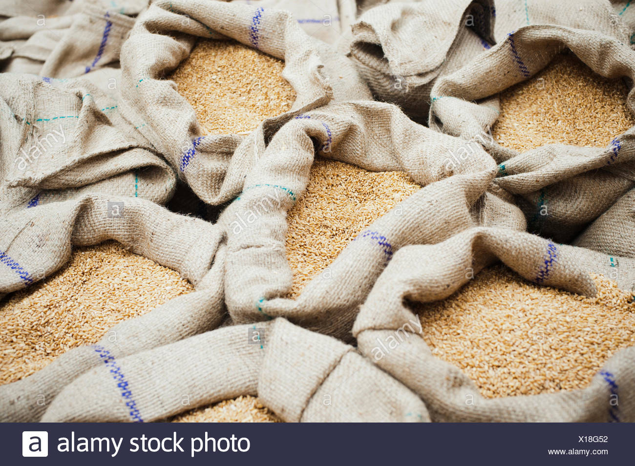 Wheat Grain Mandi High Resolution Stock Photography and Images - Alamy