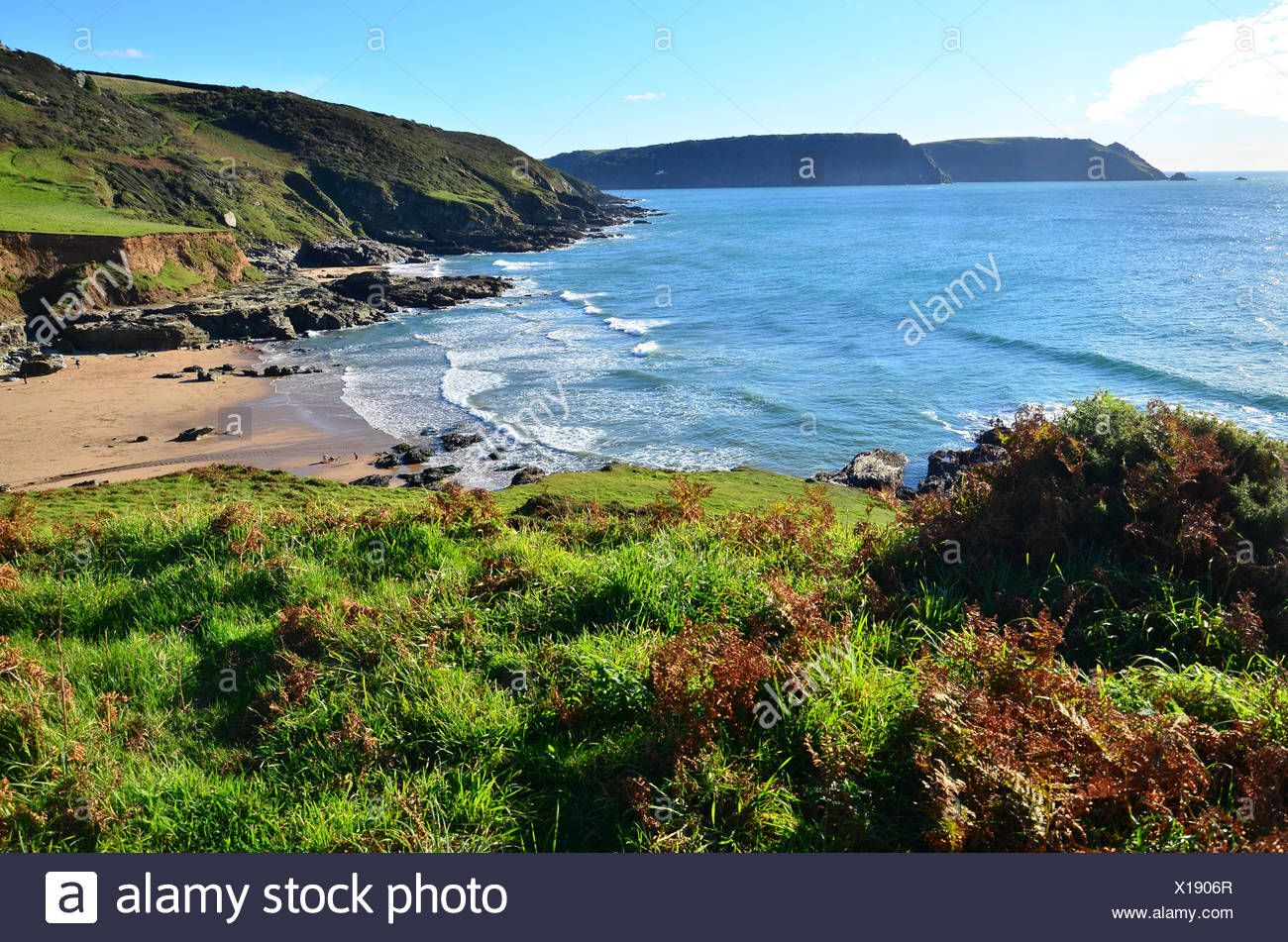 Salcombe Devon Cliffs High Resolution Stock Photography and Images - Alamy