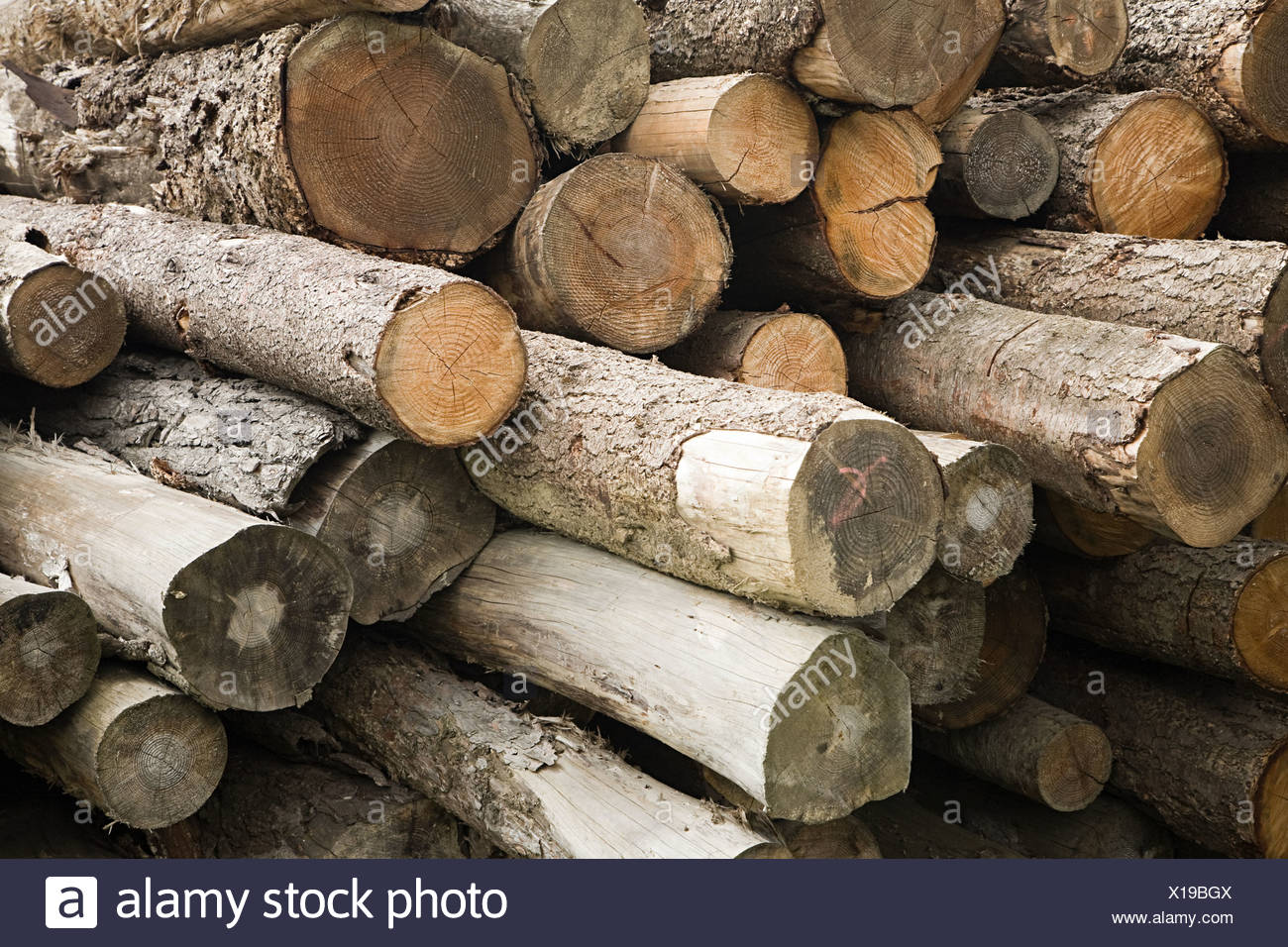 Log Stack Stock Photos & Log Stack Stock Images - Alamy