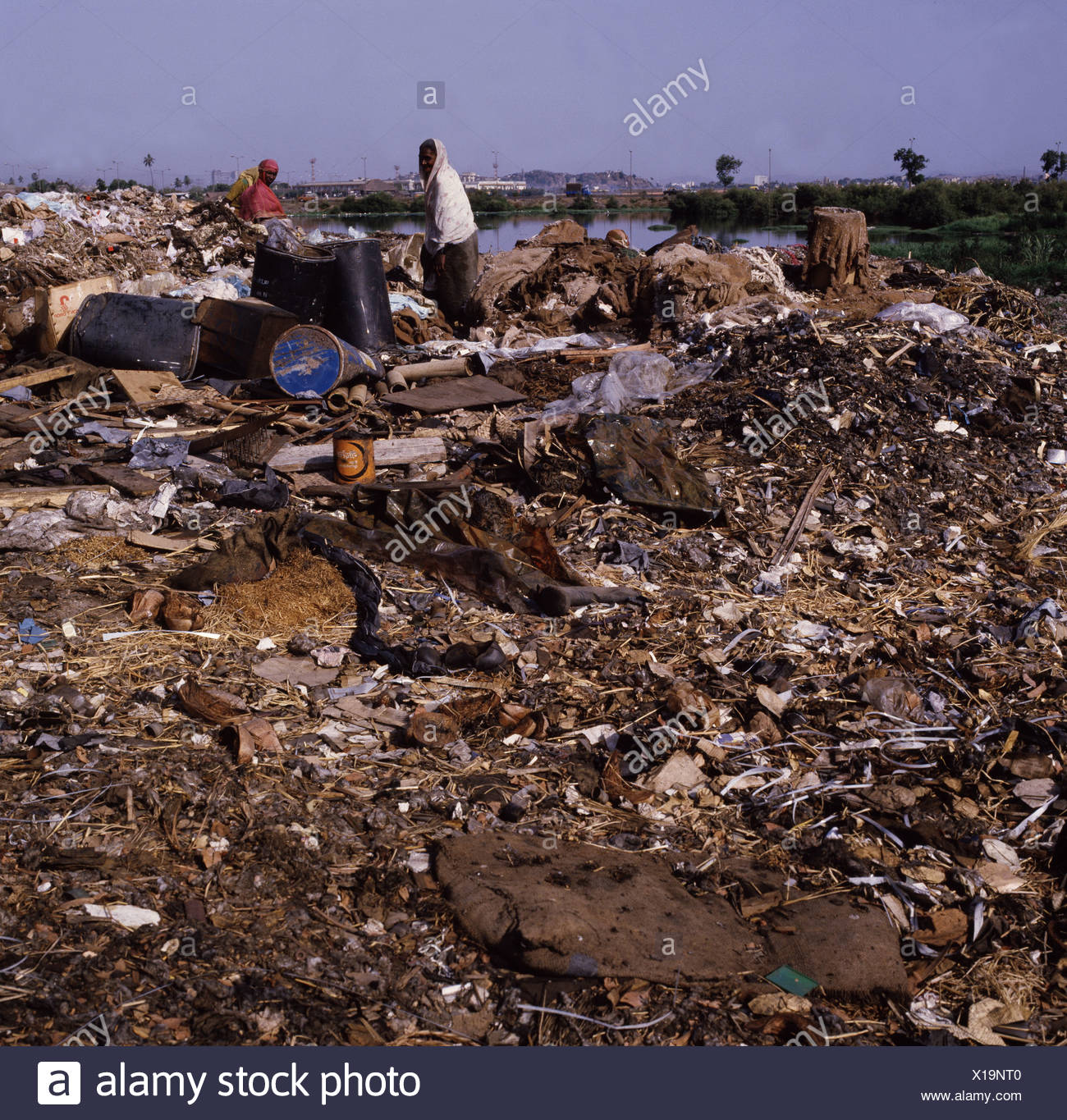 Scavengers People Stock Photos & Scavengers People Stock Images - Alamy