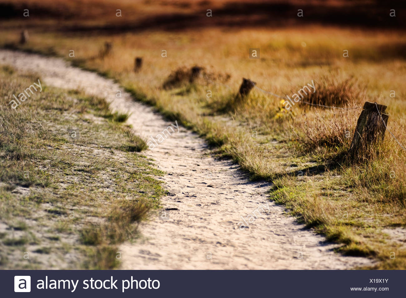 Symbolic Fencing High Resolution Stock Photography and Images - Alamy