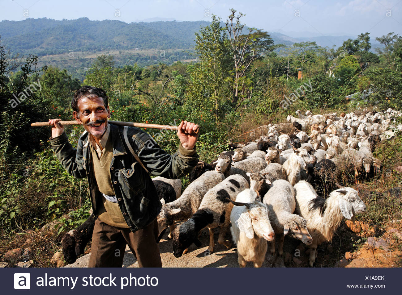 Changar High Resolution Stock Photography and Images - Alamy