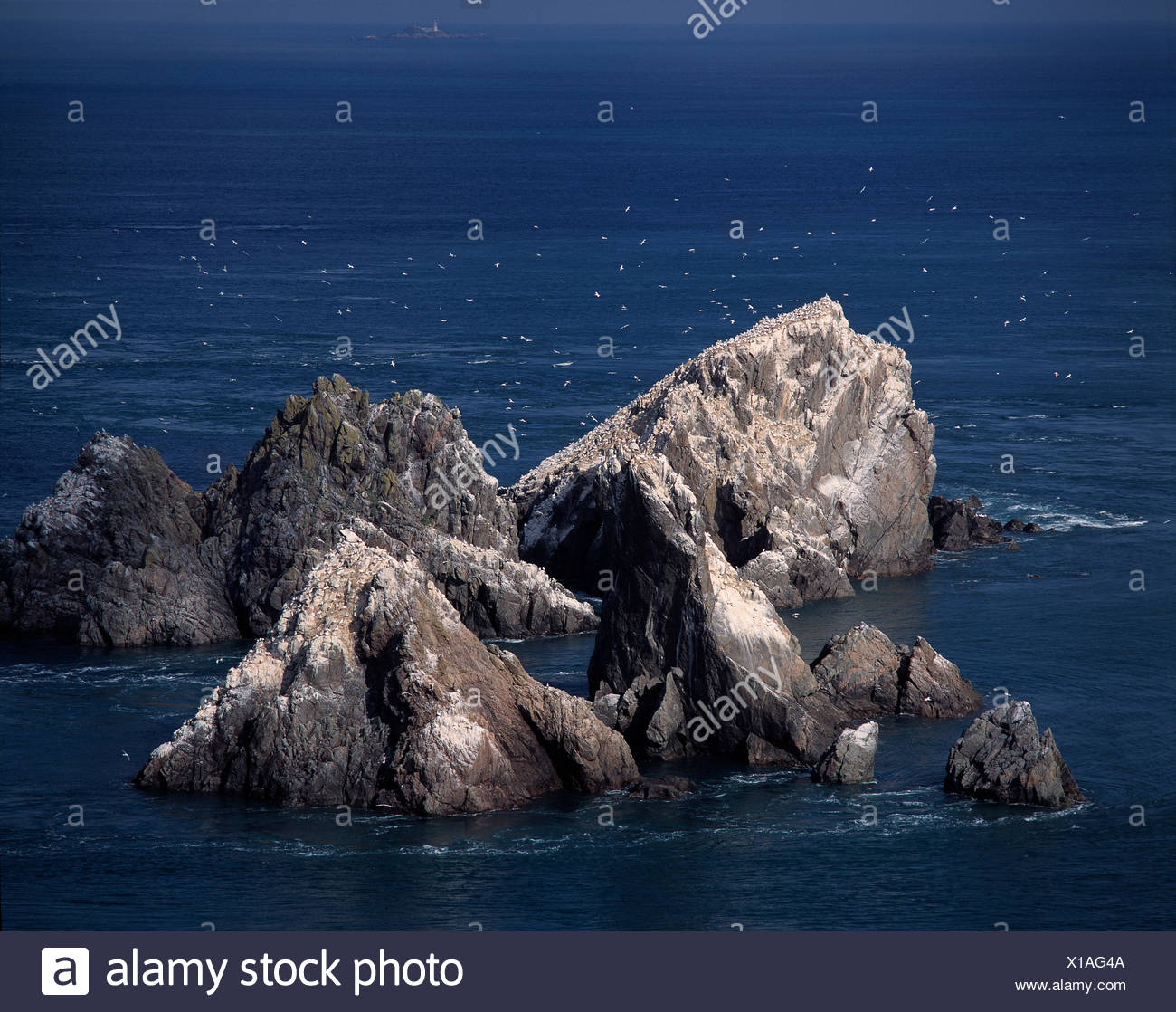 Alderney Channel Islands Stock Photos & Alderney Channel Islands Stock ...