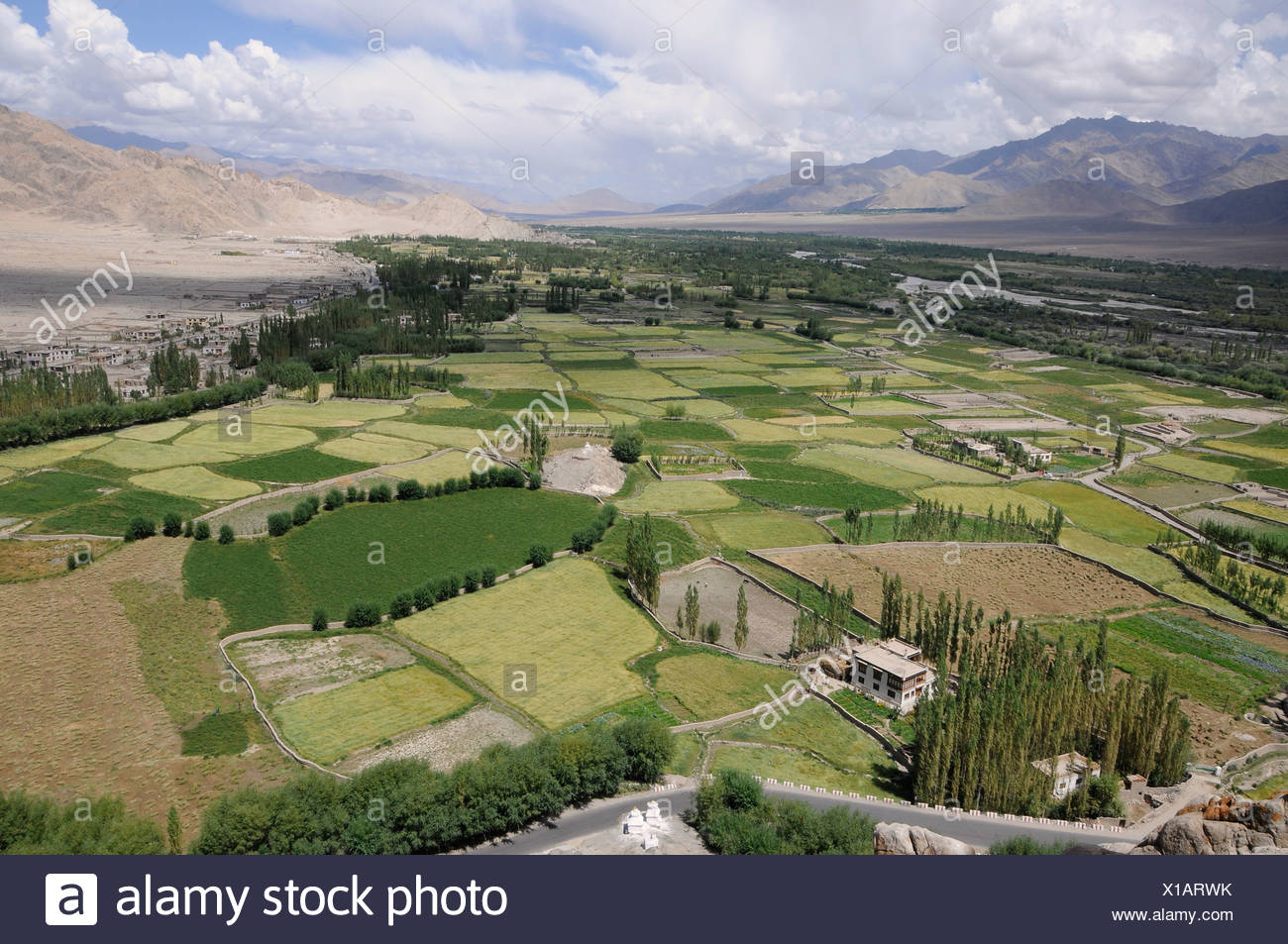 Indus Valley Desert