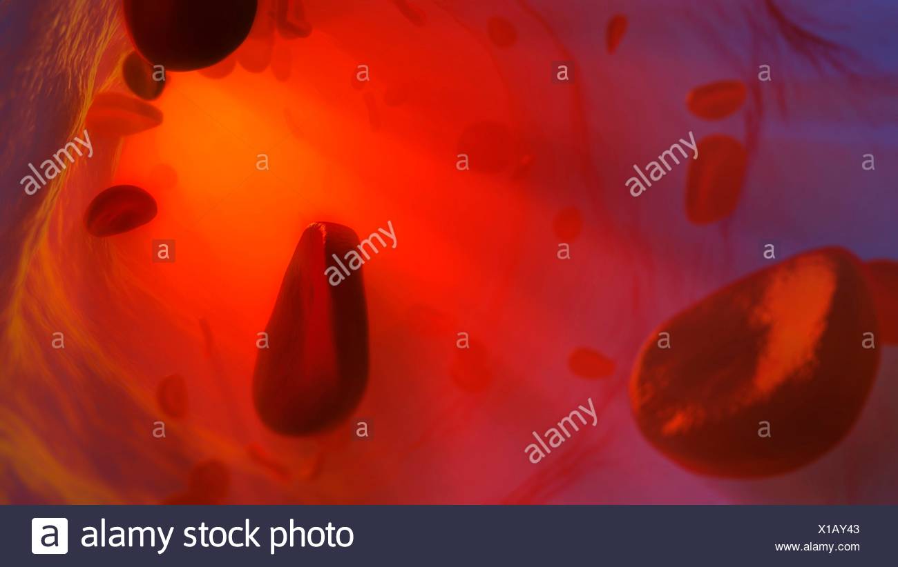 Disc Shaped Stock Photos & Disc Shaped Stock Images - Alamy