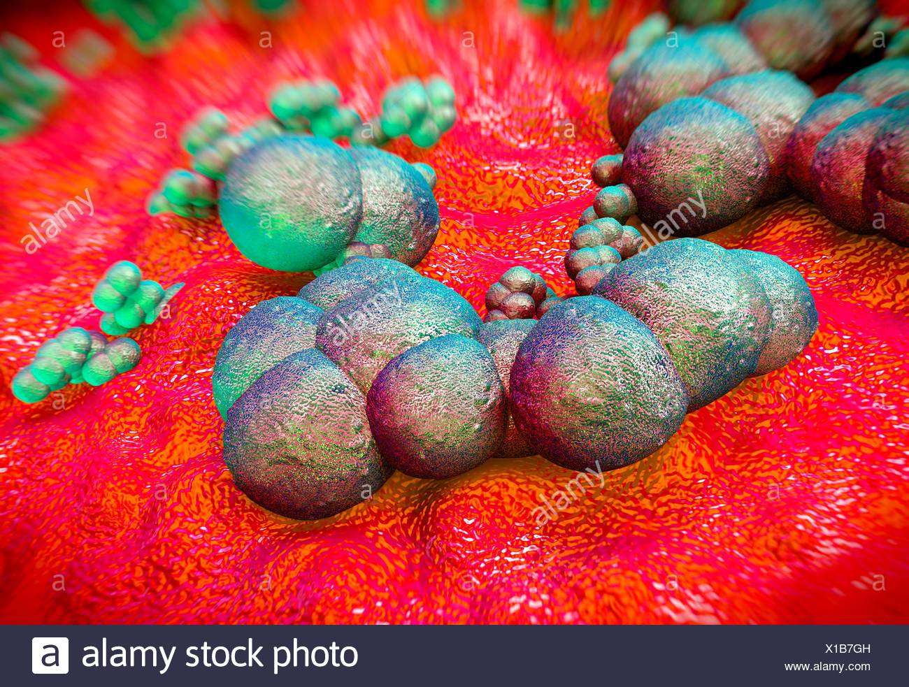 Staphylococcus Epidermidis High Resolution Stock Photography and Images ...