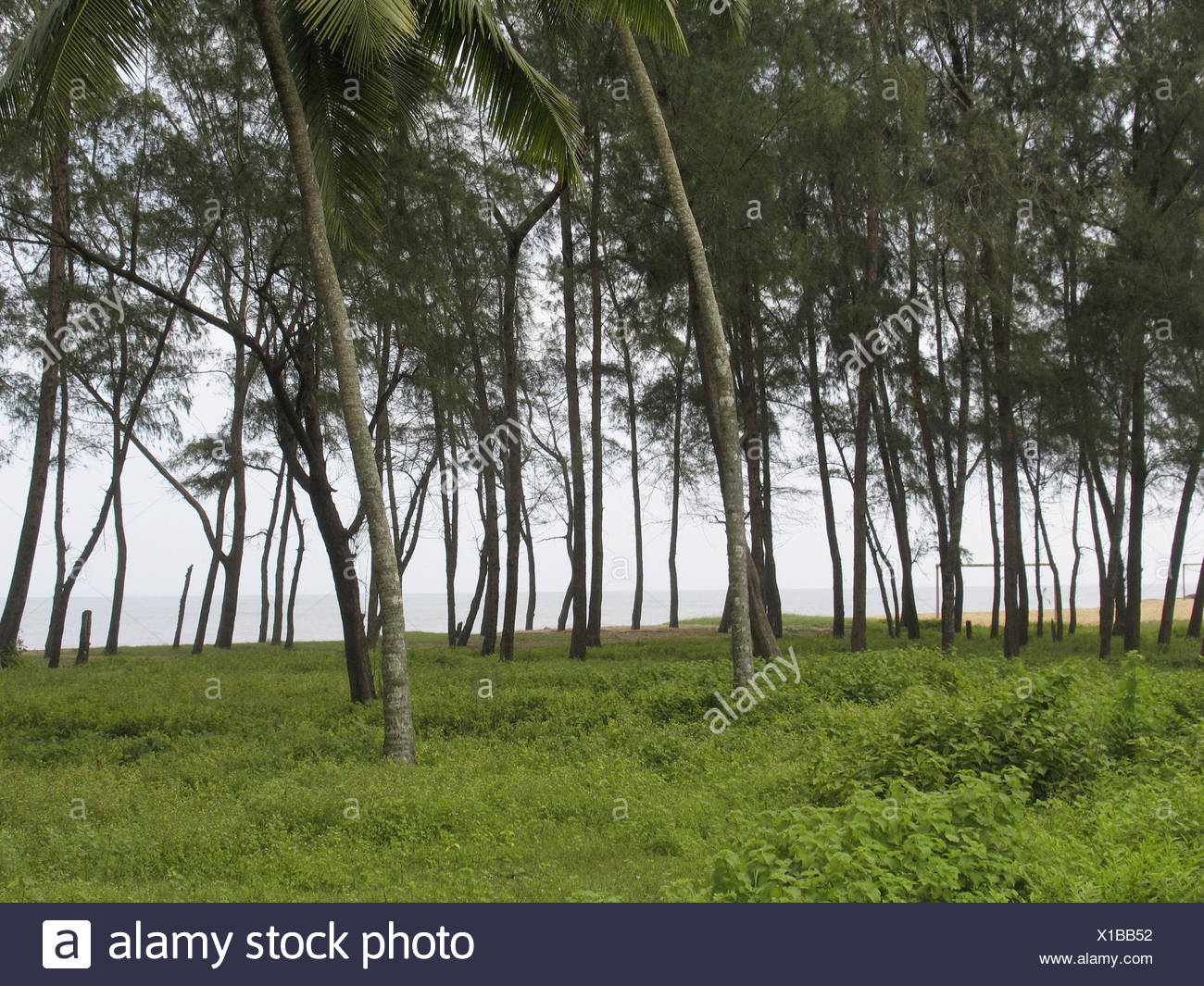 Kappad Beach Stock Photos & Kappad Beach Stock Images - Alamy