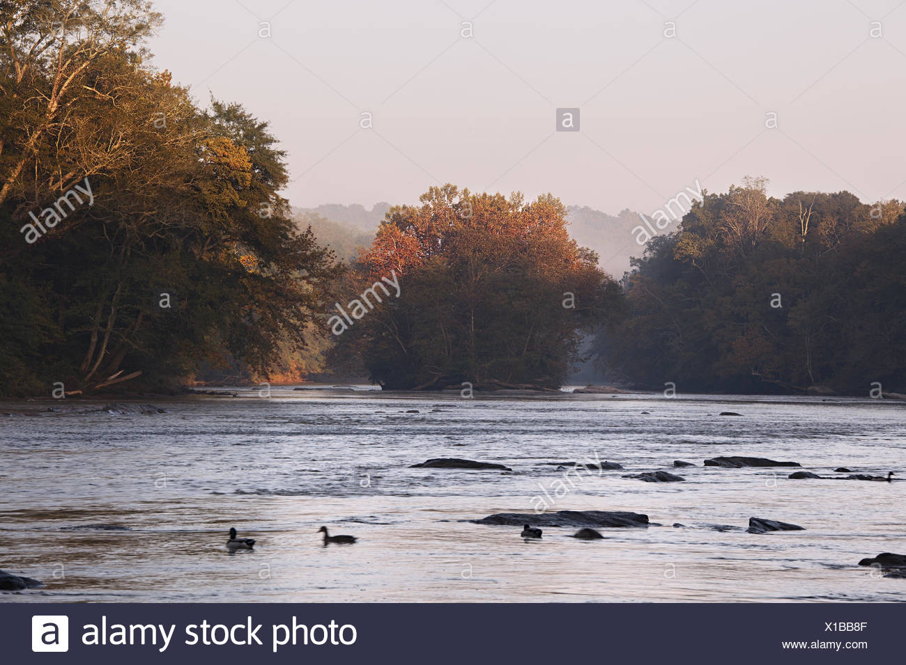 Chattahoochee River Atlanta High Resolution Stock Photography and ...