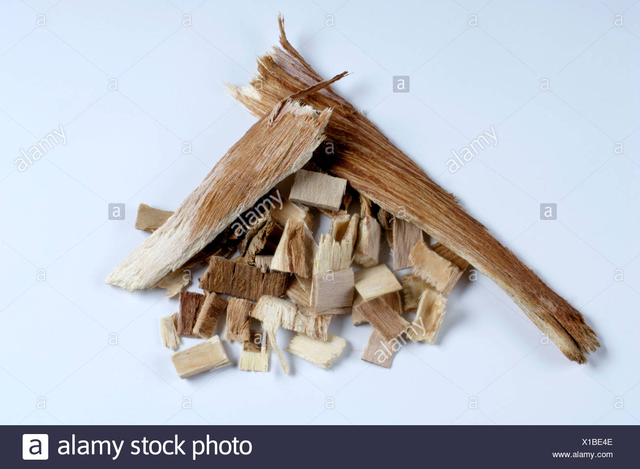 Quillaia Soap Bark High Resolution Stock Photography and Images - Alamy