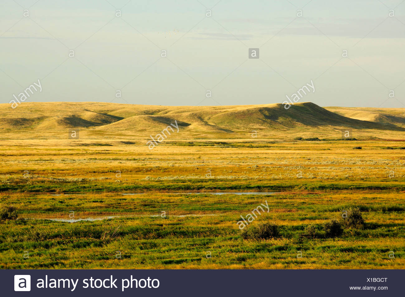 Grasslands National Park Saskatchewan Stock Photos & Grasslands ...