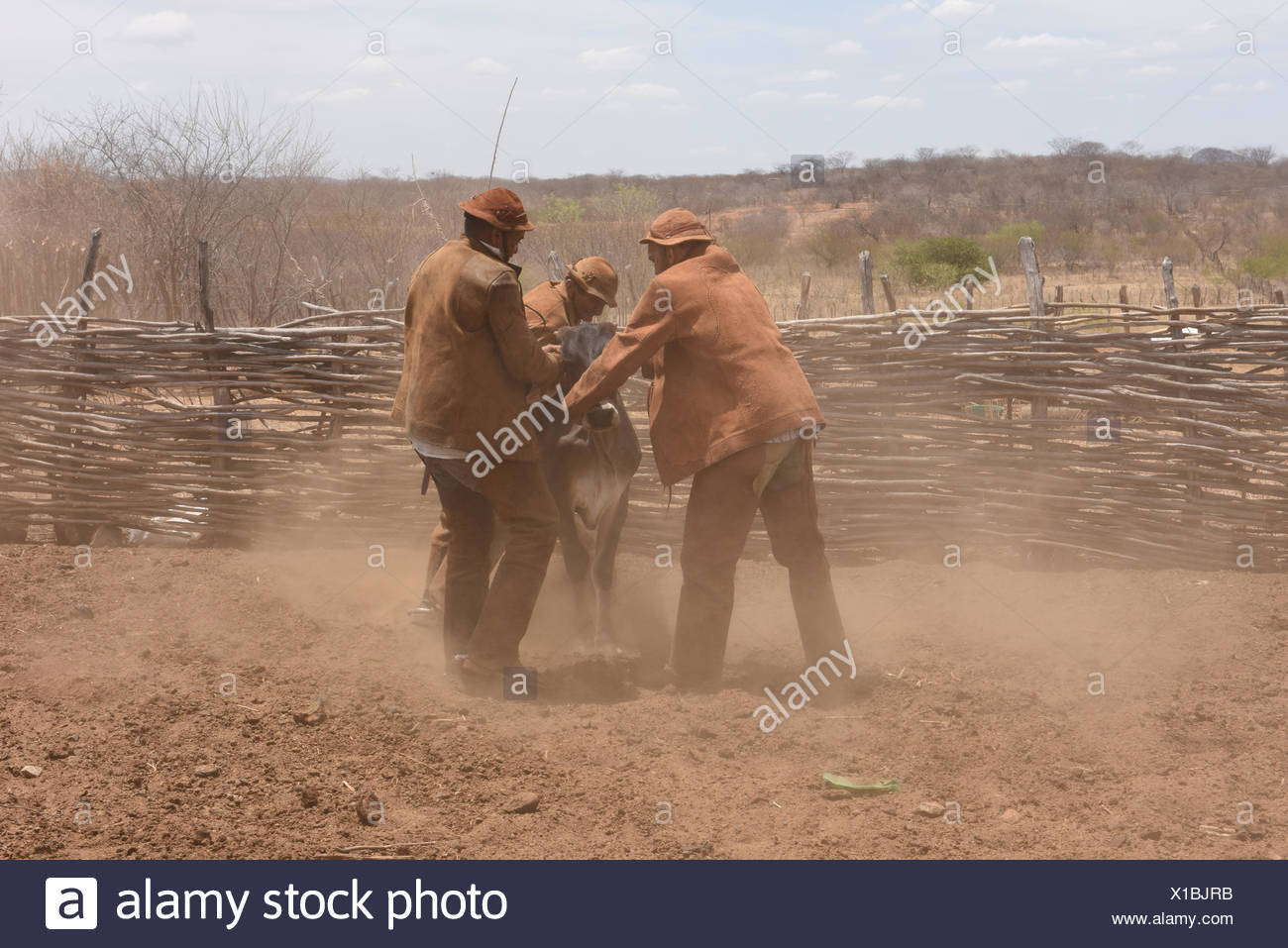 Garrote Stock Photos & Garrote Stock Images - Alamy