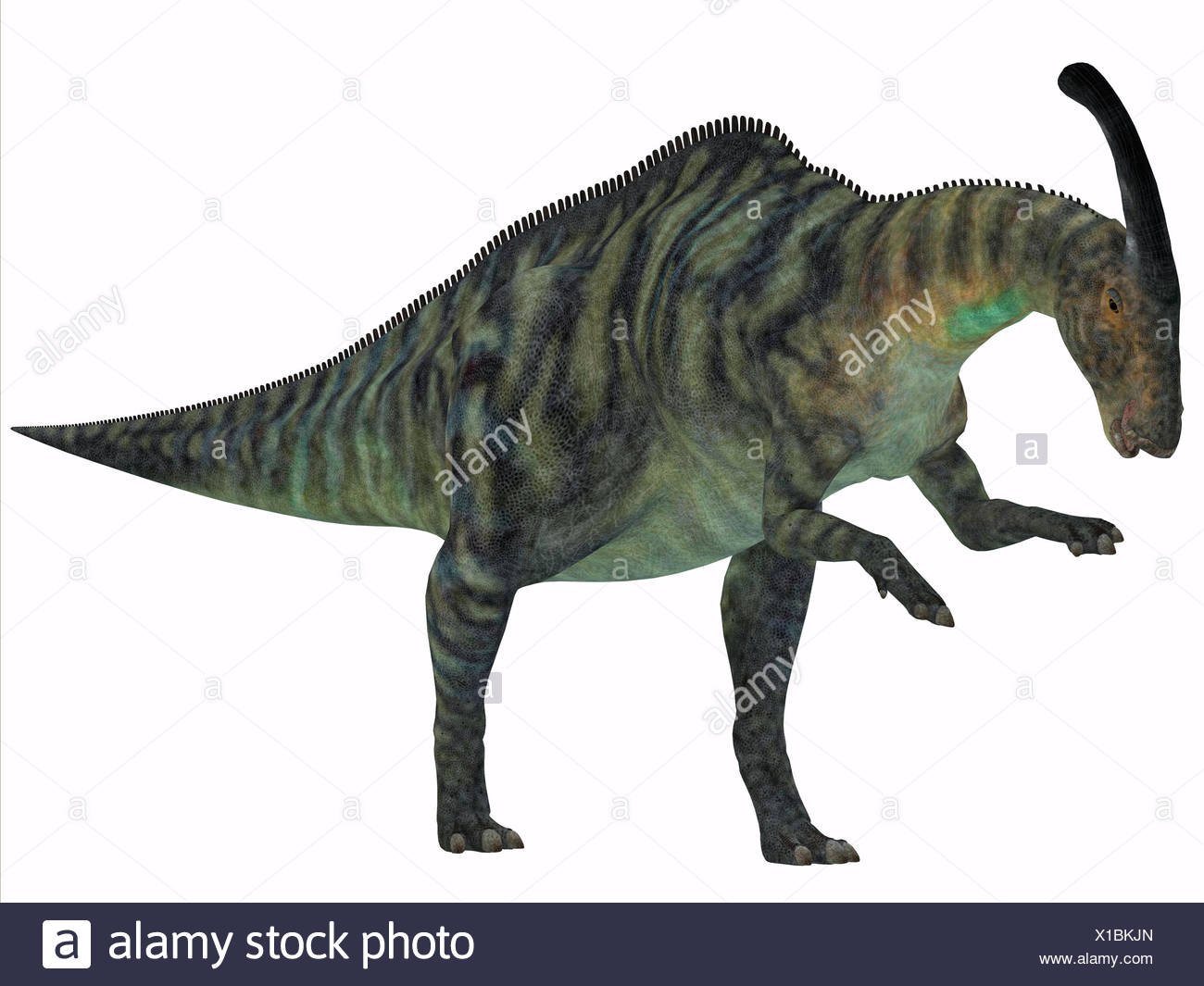 Bipedal Dinosaur High Resolution Stock Photography and Images - Alamy